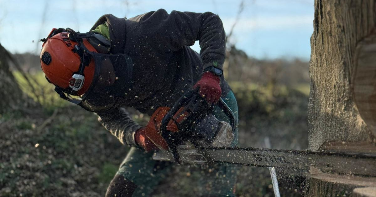 Coeden Arb - Tree Care, Tree Surgery and Hedge Trimming